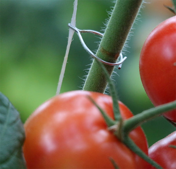 Hooks & Clips – Hort Americas Canada